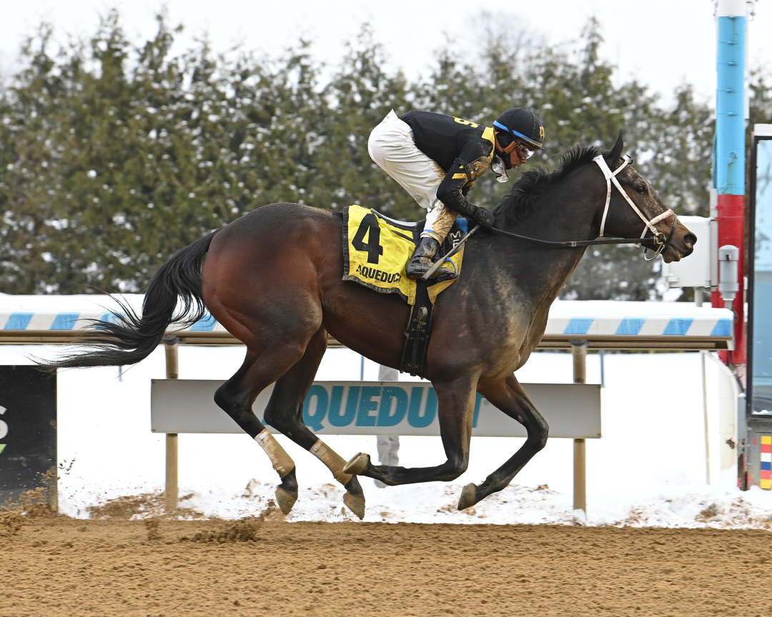 Full Screen powers to another dominant score in Queens County